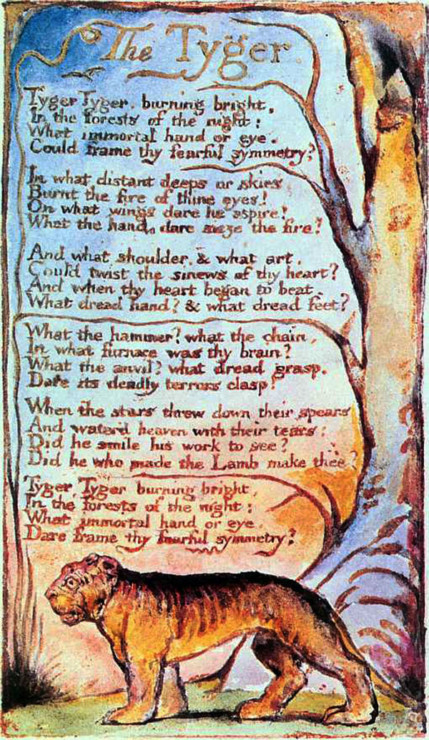 “The Tyger” By William Blake Review – The Book Corner Chronicles