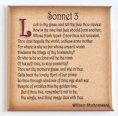 “Sonnet 3” By William Shakespeare Review – The Book Corner Chronicles