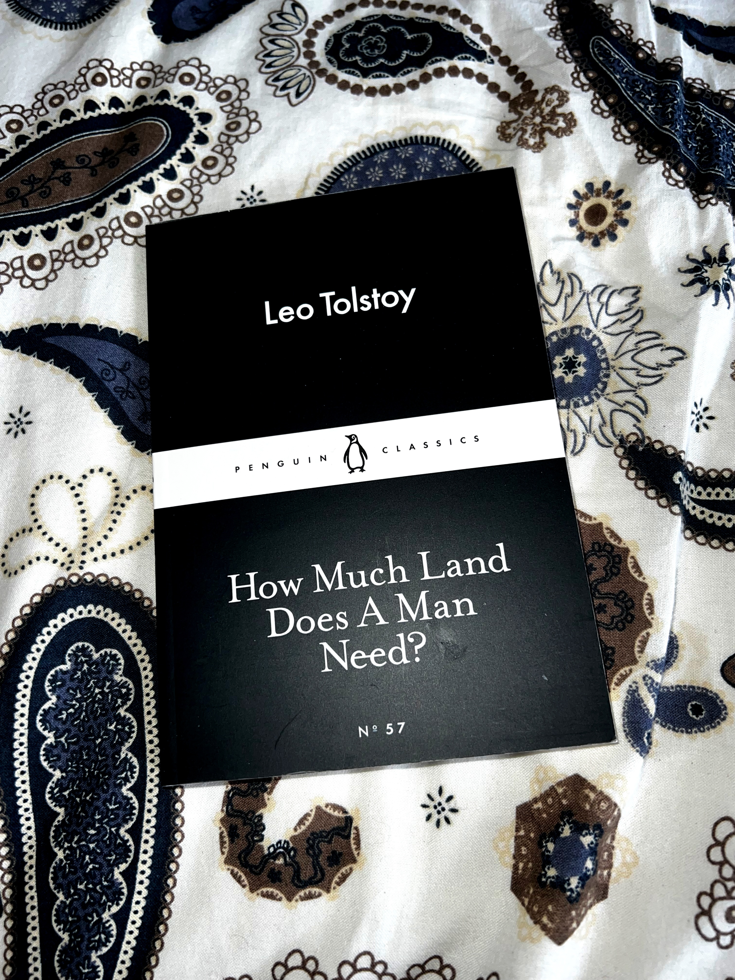 “How Much Land Does a Man Need?” By Leo Tolstoy Review – The Book ...